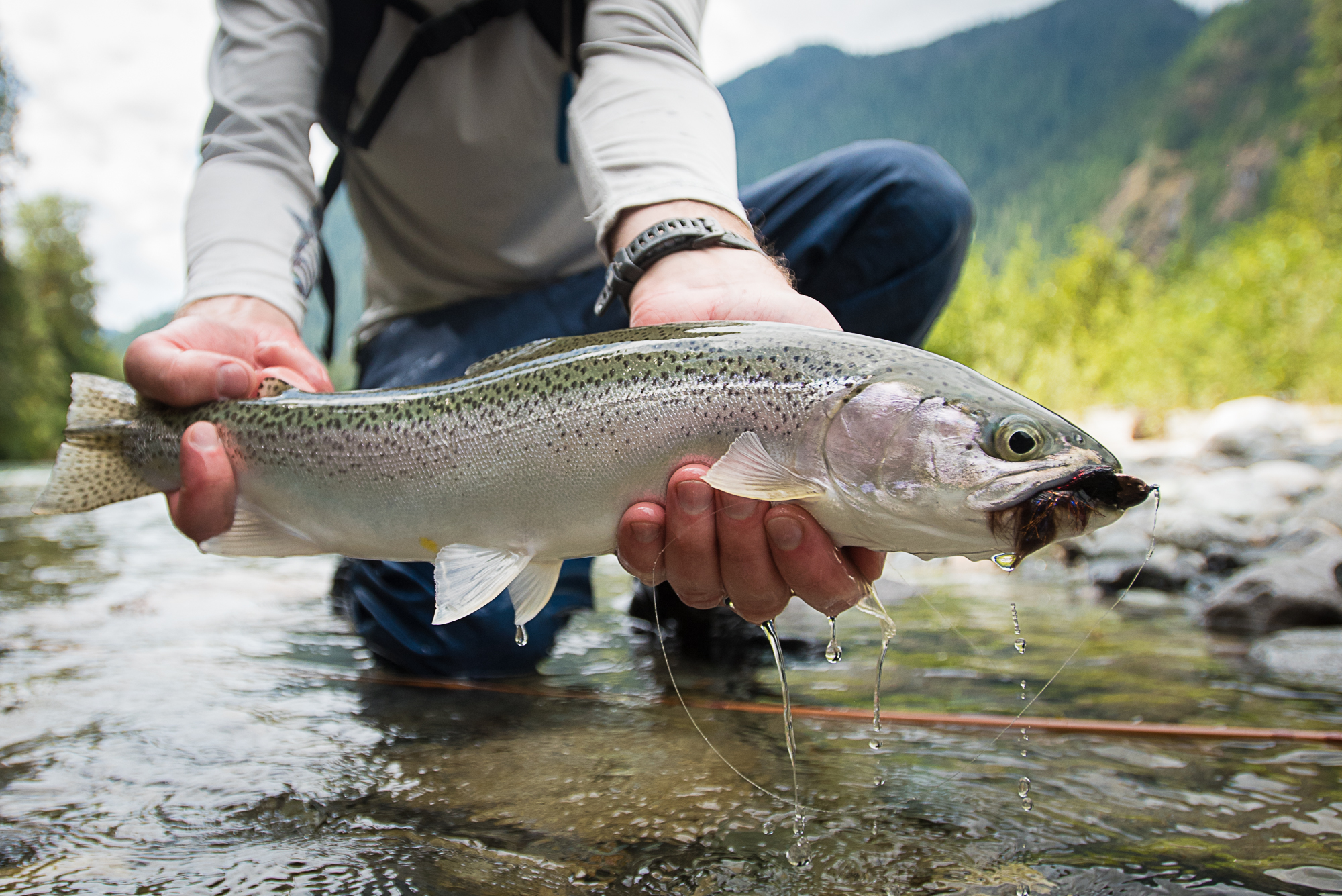 Mouthful - DRYFT™ Fishing Waders